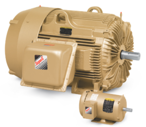 Baldor General Purpose Motors with AEGIS Shaft Grounding