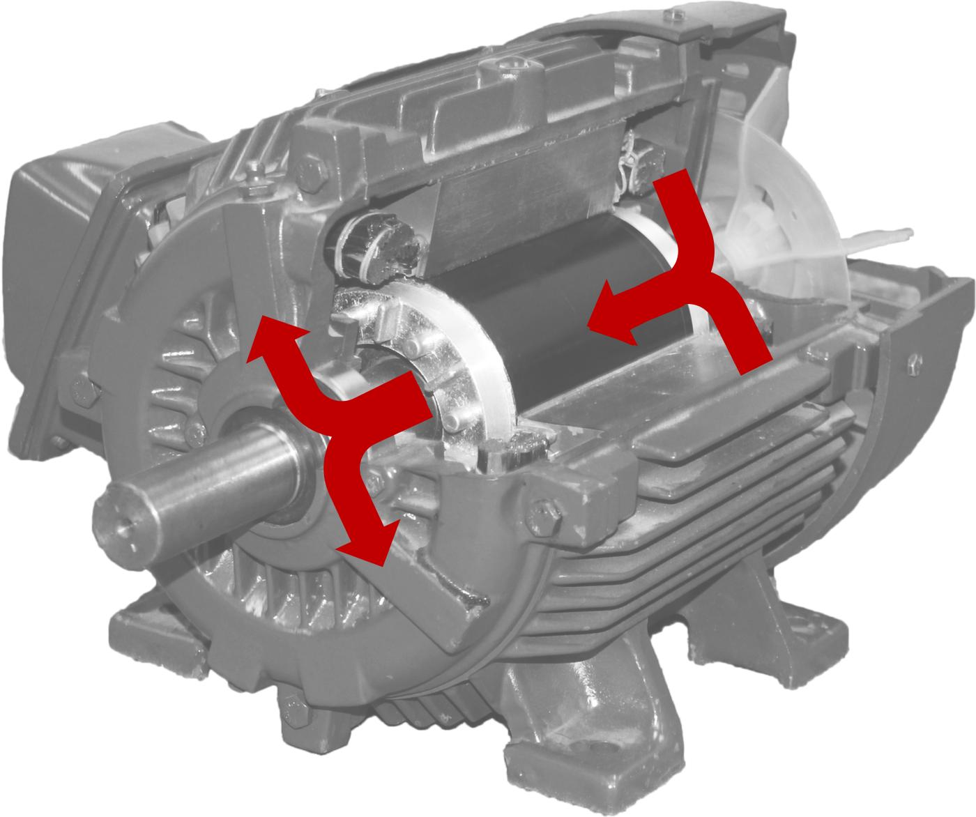 Shaft Grounding Rings | Protect Motors From Bearing Damage